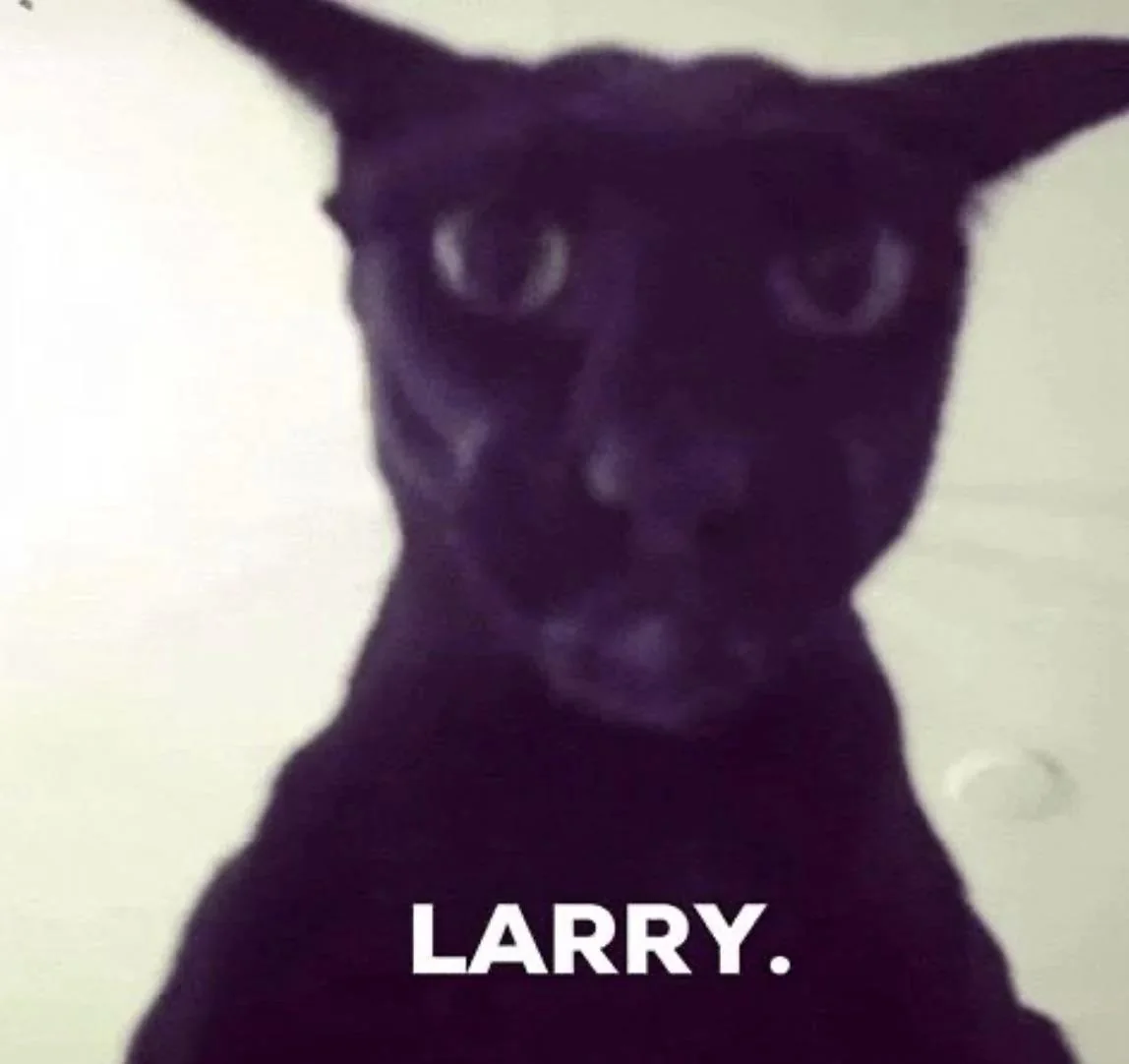 Qui est Larry le Malicieux ? le chat noir qui hante Internet - BrainRot Store France